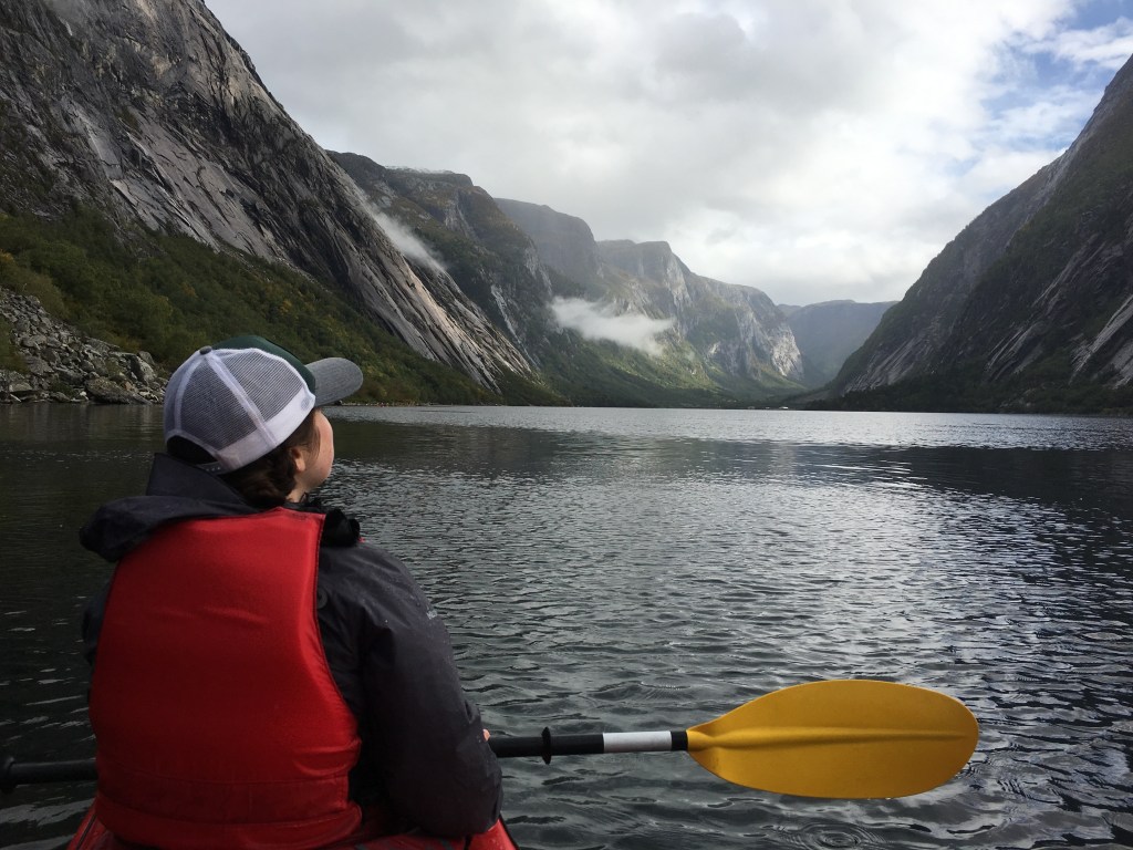 Freelancing in Pie Charts – 2018 & 2019 – colleen stinchcombe