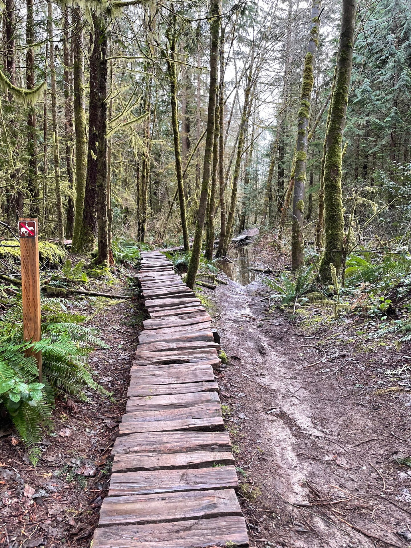 Runlikely: The 50k Training Plan – colleen stinchcombe