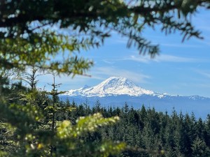 Blog – colleen stinchcombe