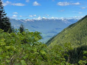 Blog – colleen stinchcombe